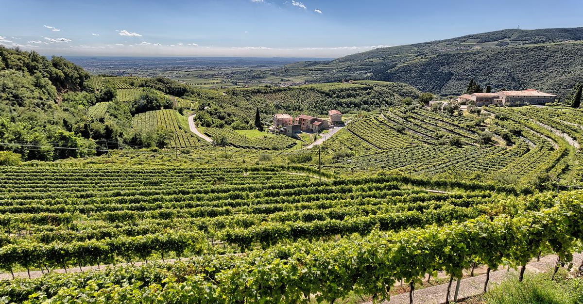 Valpolicella | Hotel Valpolicella International, San Pietro in Cariano